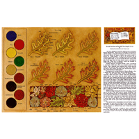 Shade Dyeing with Spectra Shade Dyes by Glenda Karrenbrock & Tony Laie ...