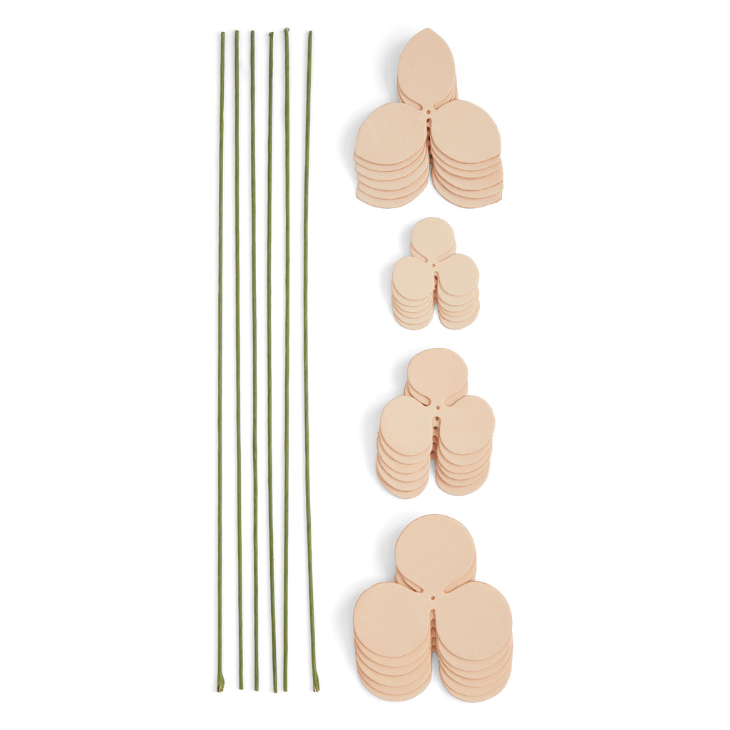 Tandy Leather — Tandy Leather Canada