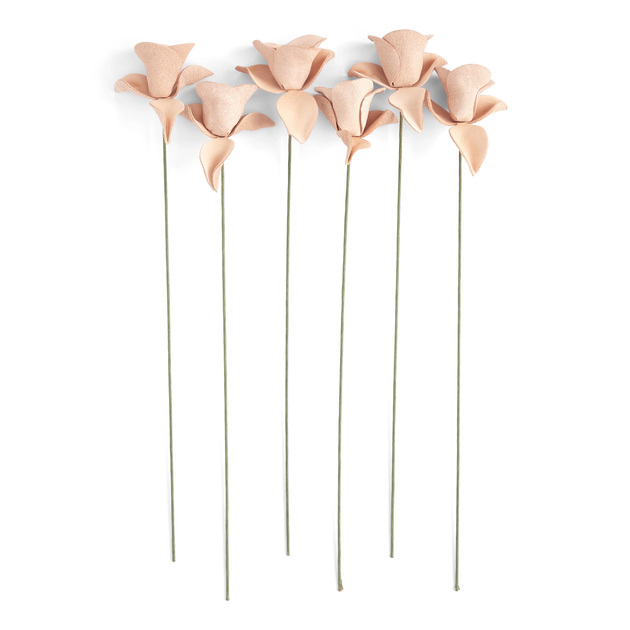 Rose Kit 6 Pack — Tandy Leather Canada