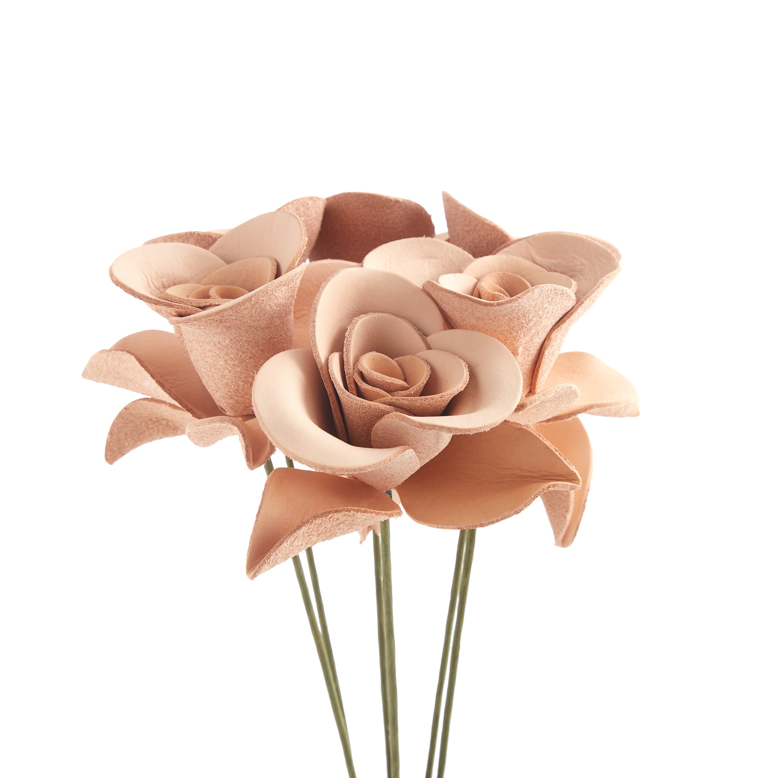 Rose Kit 6 Pack — Tandy Leather Canada