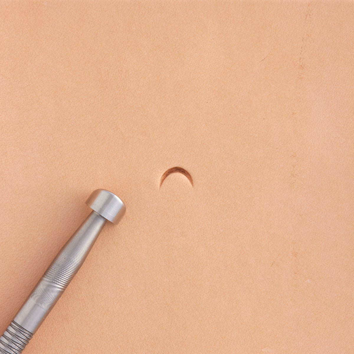 Medium Rounded Mule Foot Stainless Steel Stamp — Tandy Leather Canada