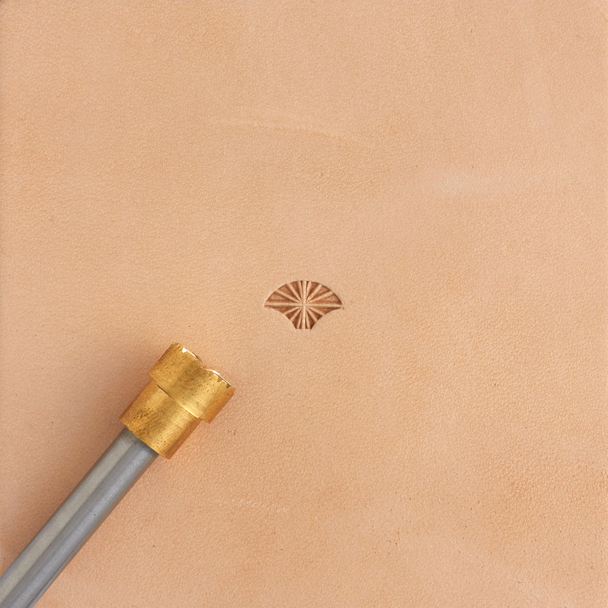 Sunburst Shell Brass Stamp — Tandy Leather Canada