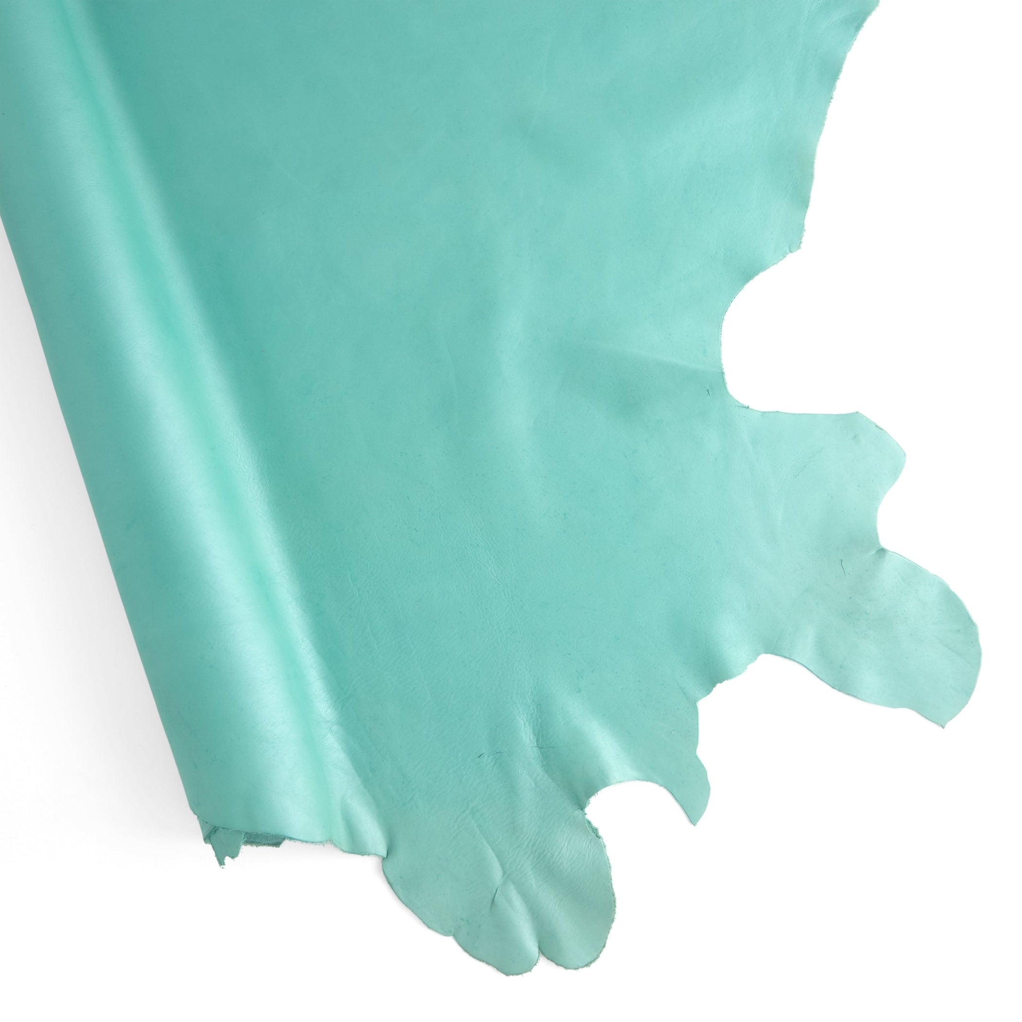 Urban Utility Side Light Turquoise — Tandy Leather Canada