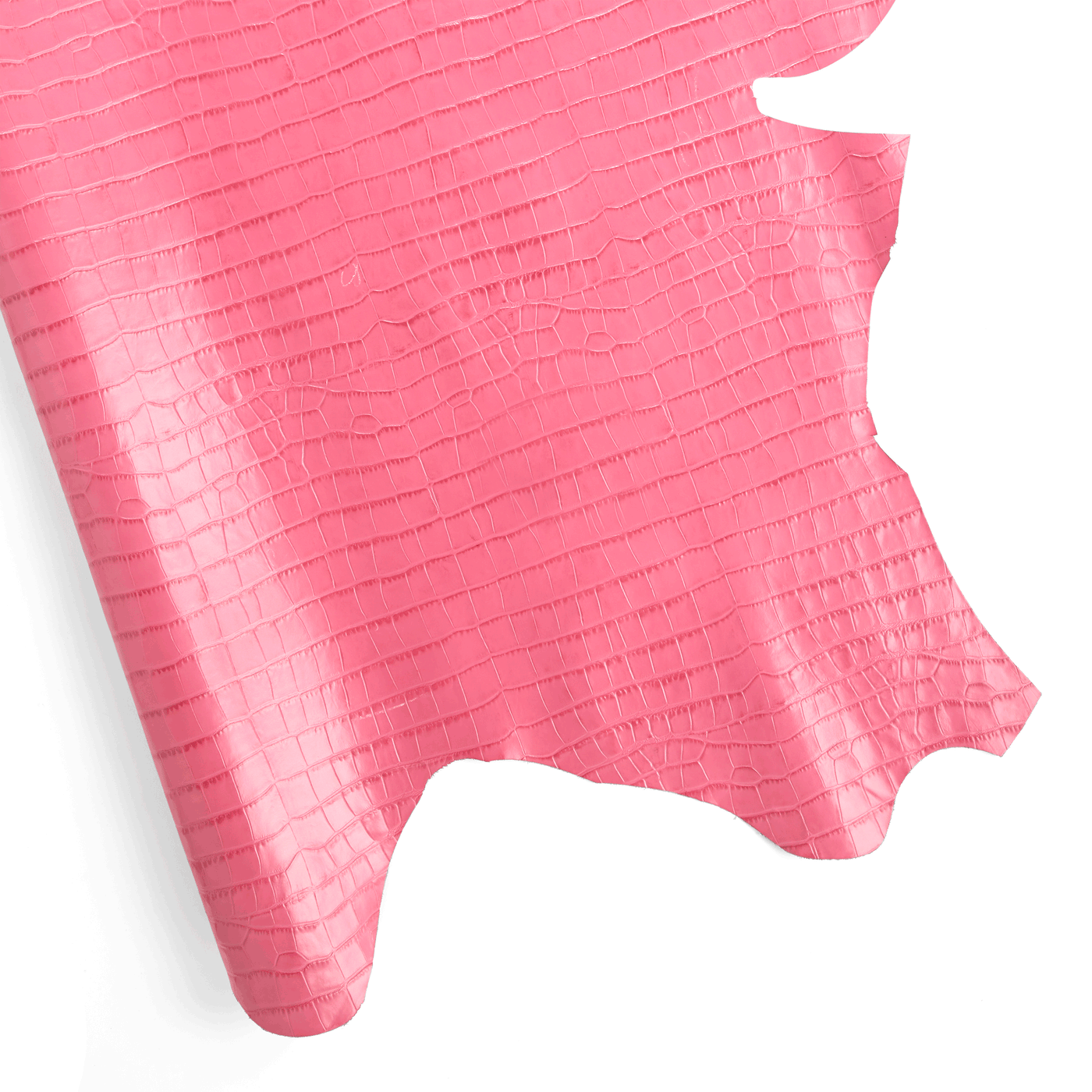 Embossed Gator Print Side — Tandy Leather Canada