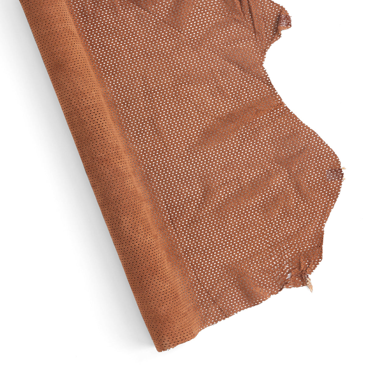 Perforated Designer Small Skin Tan | Tandy Leather — Tandy Leather Canada