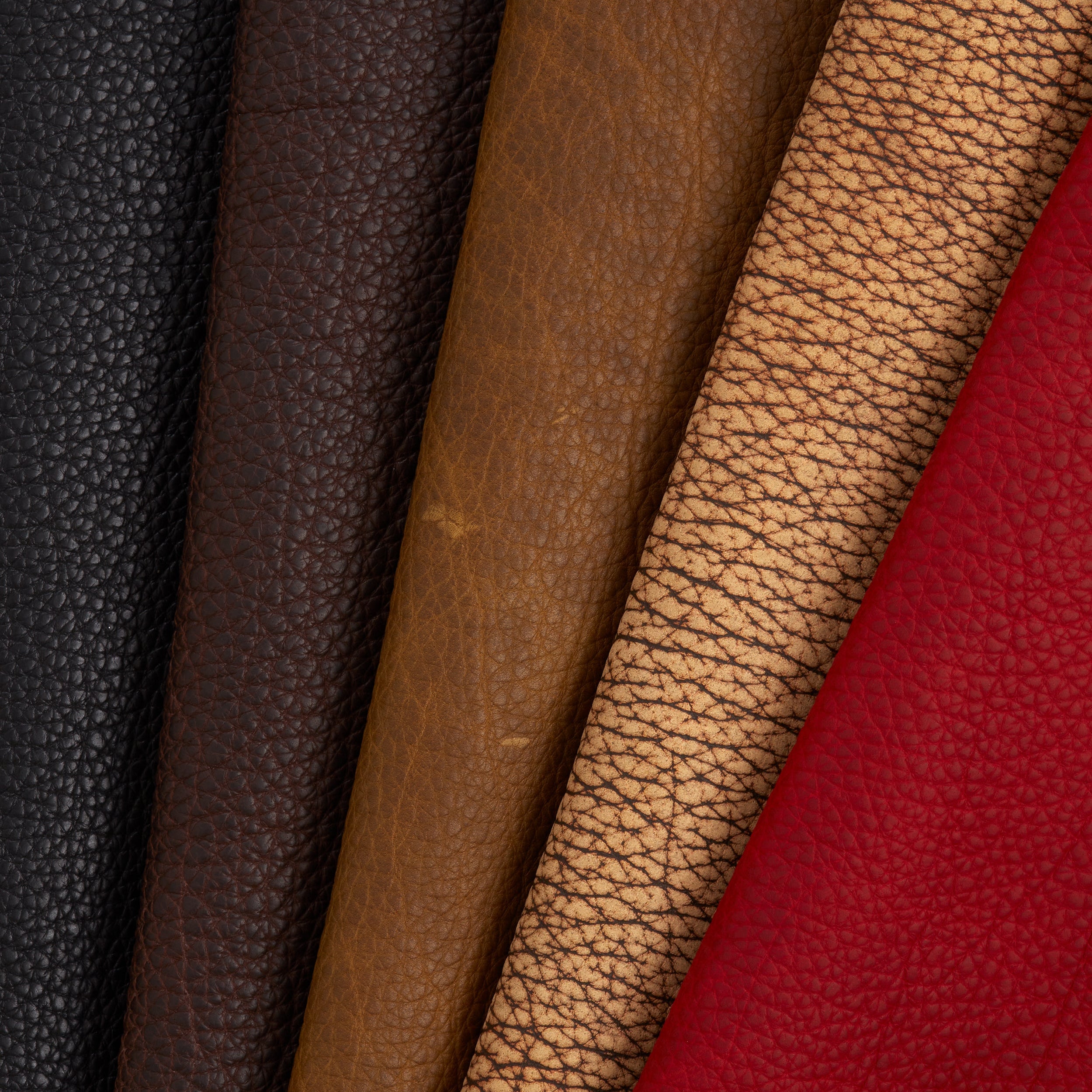 Bison Side | Tandy Leather — Tandy Leather Canada