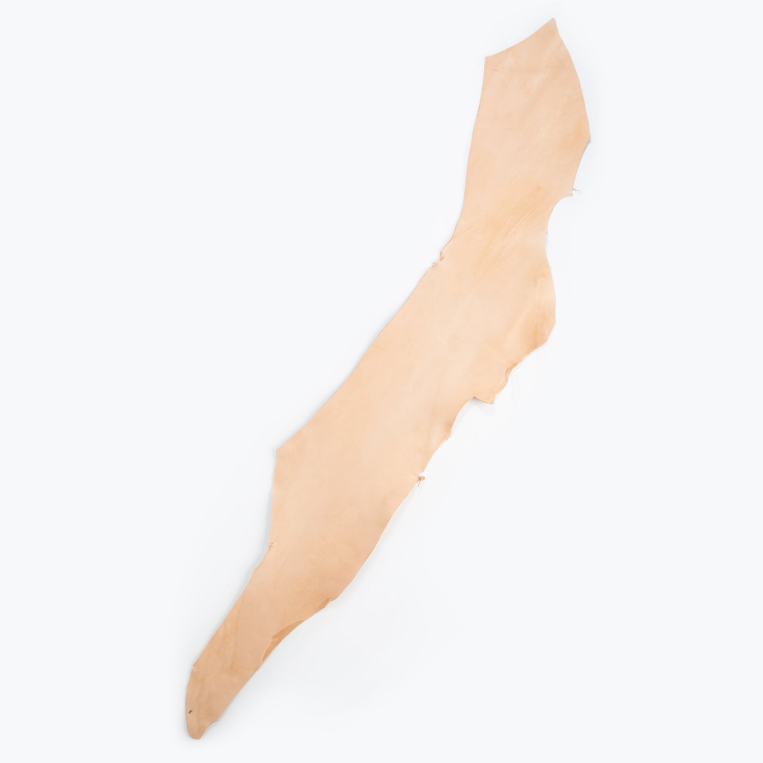 Shop Leather Essentials at Tandy — Tandy Leather Canada