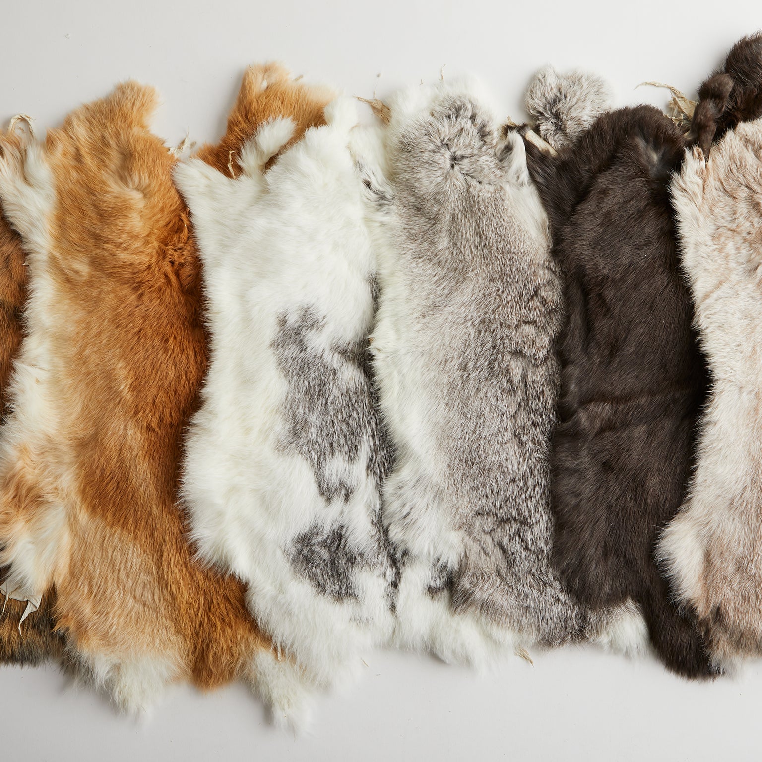 Tandy Leather — Tandy Leather Canada