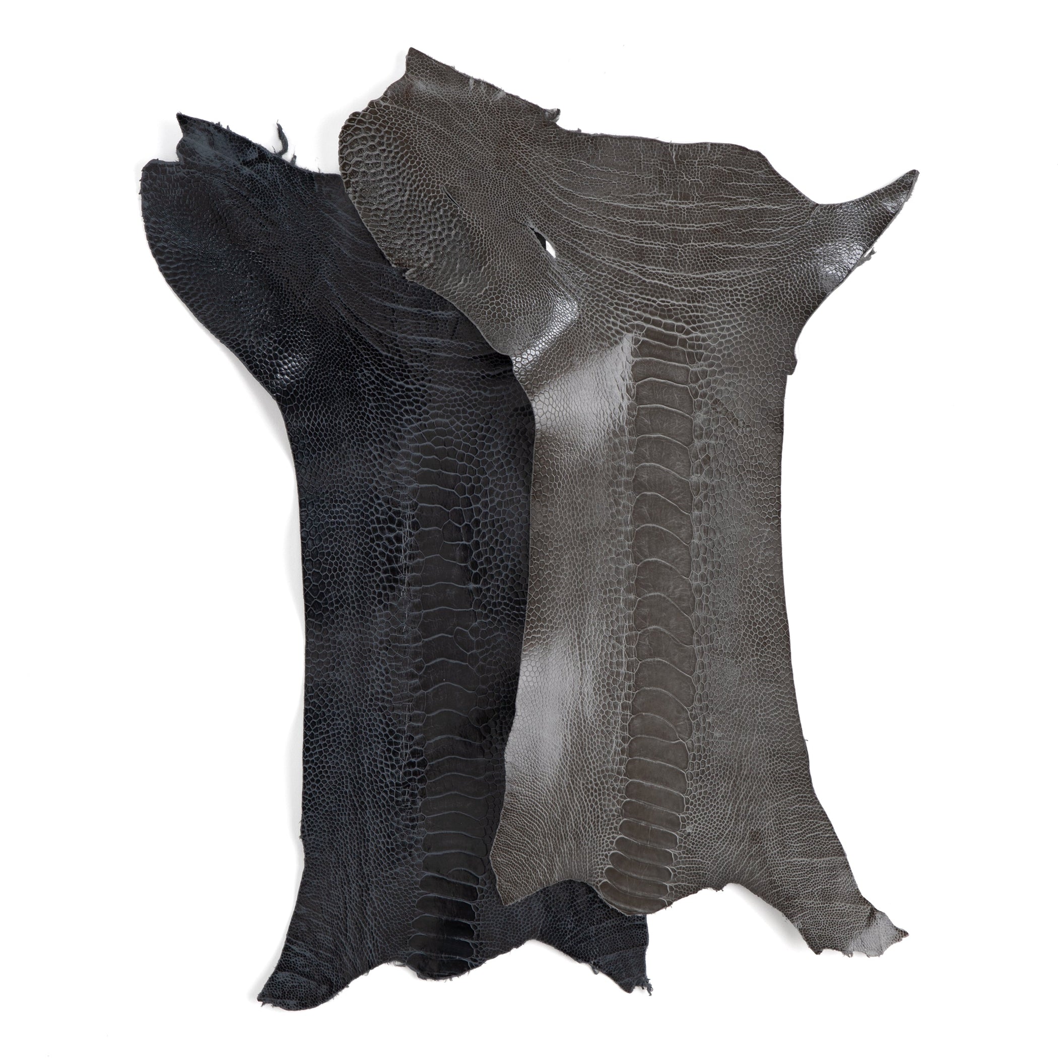 Cuisse d'autruche assortie — Tandy Leather Canada