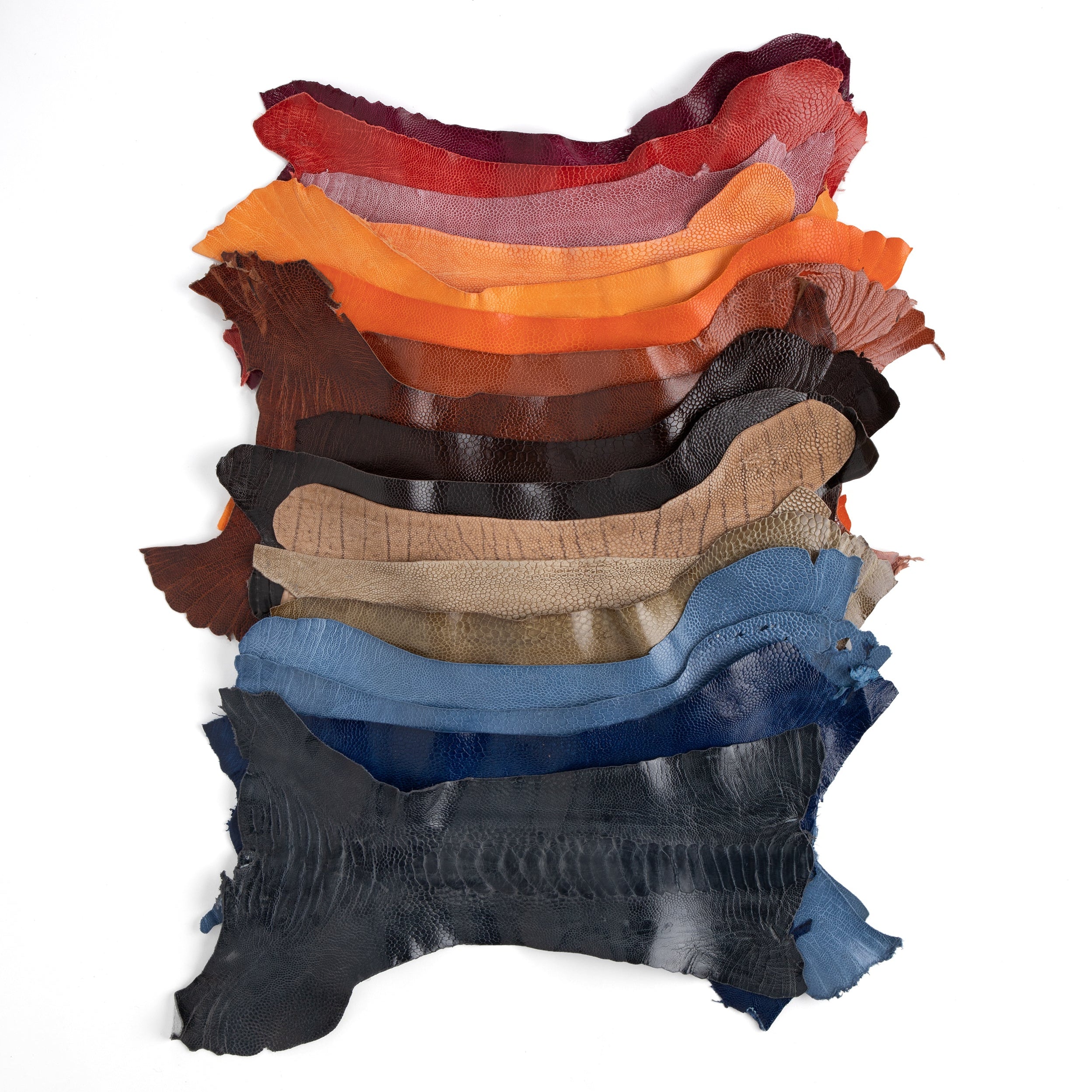 Shop Leather Essentials at Tandy — Tandy Leather Canada