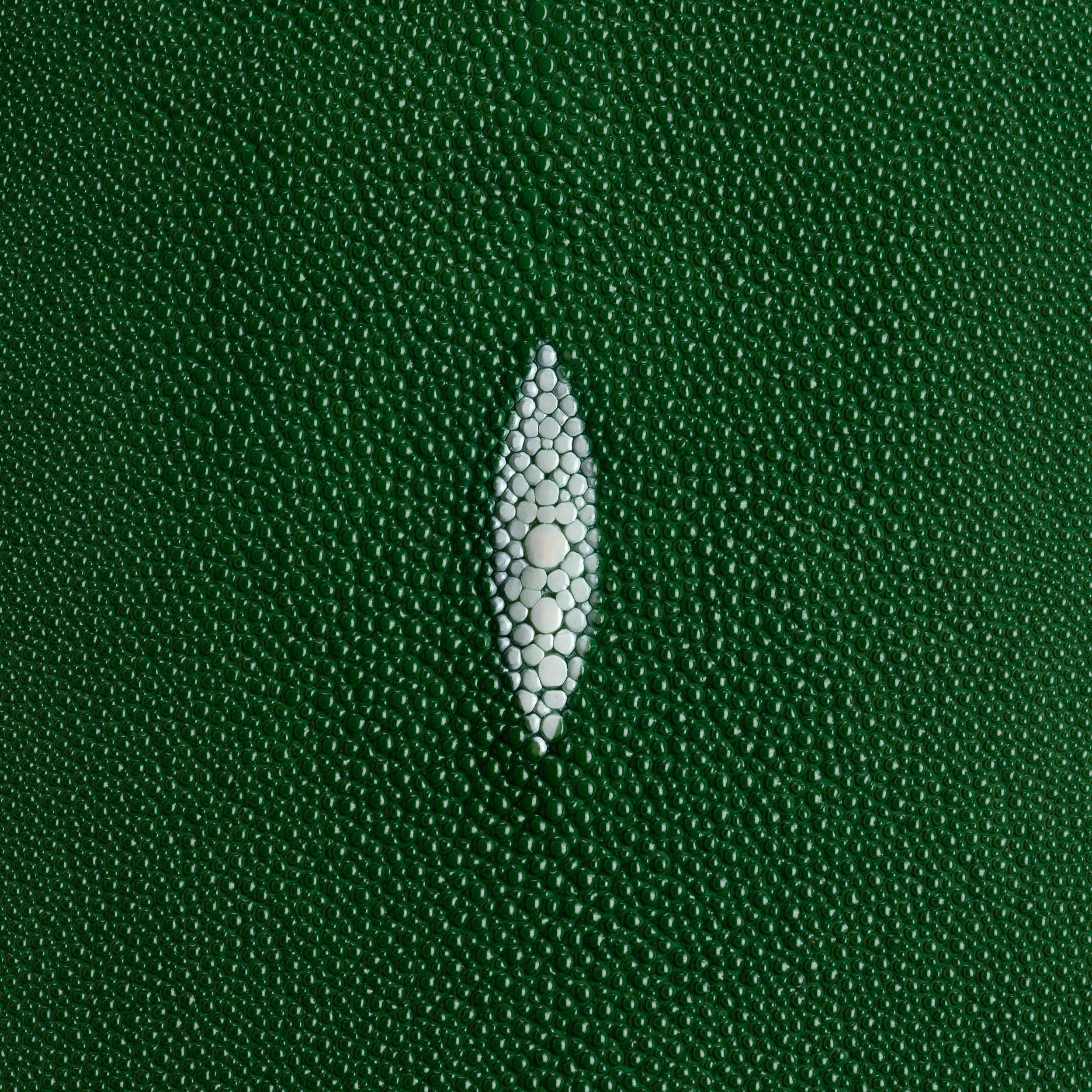 Stingray Small Skin — Tandy Leather Canada