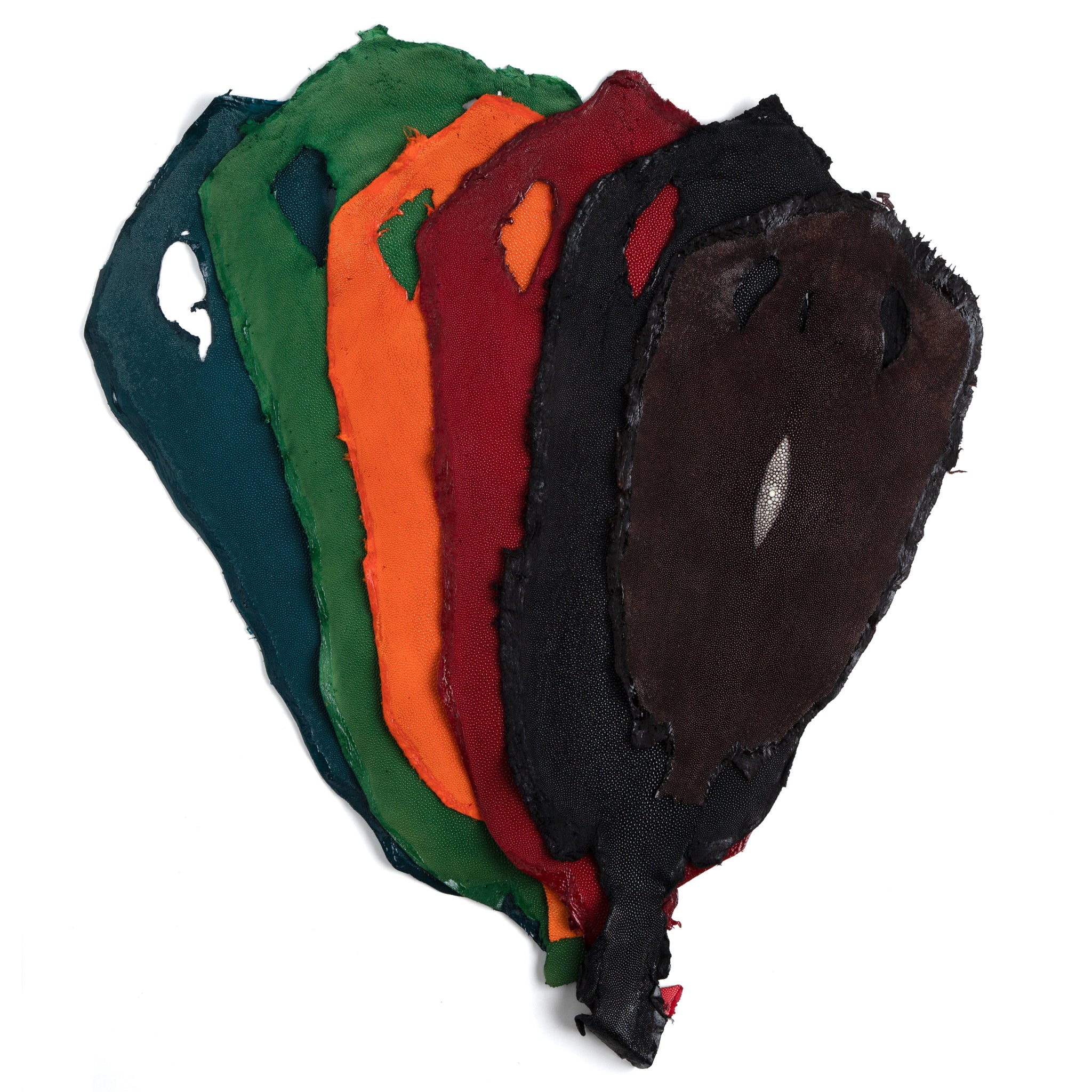 Shop Tandy Featured Leather & More! — Tandy Leather Canada