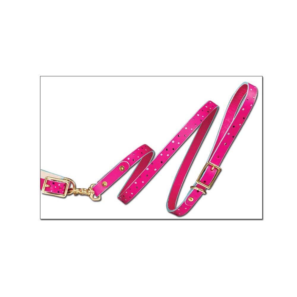 Dog Leash Kit | Tandy Leather — Tandy Leather Canada